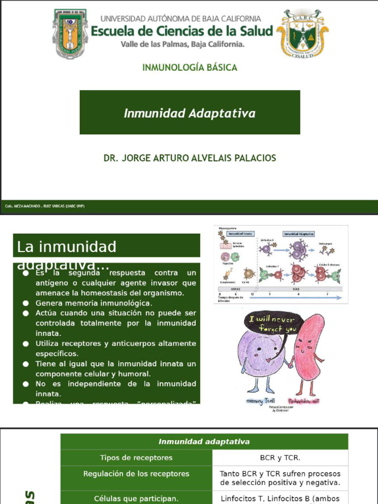 Inmunidad Adaptativa | PDF