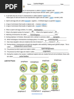 Meiosis-Webquest Answer Key | PDF | Meiosis | Chromosome