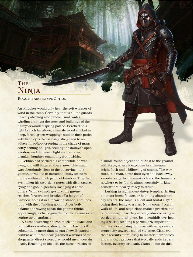 Ninja | PDF