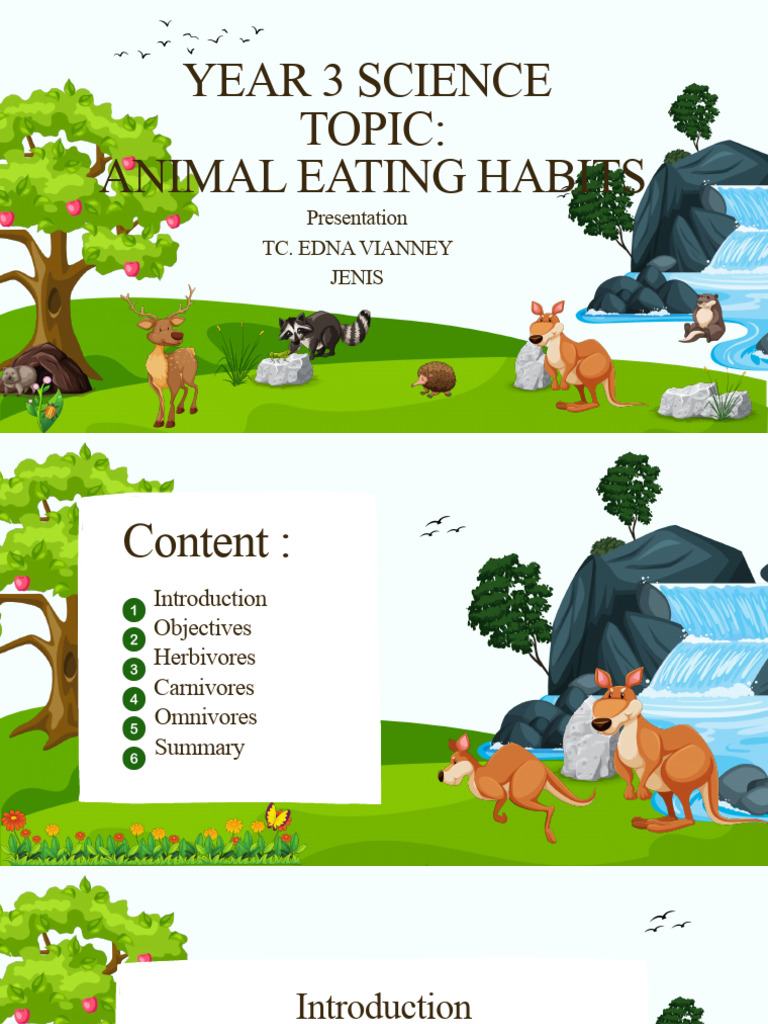 Science Year 3 Animal Eating Habits | PDF | Home & Garden | Science ...
