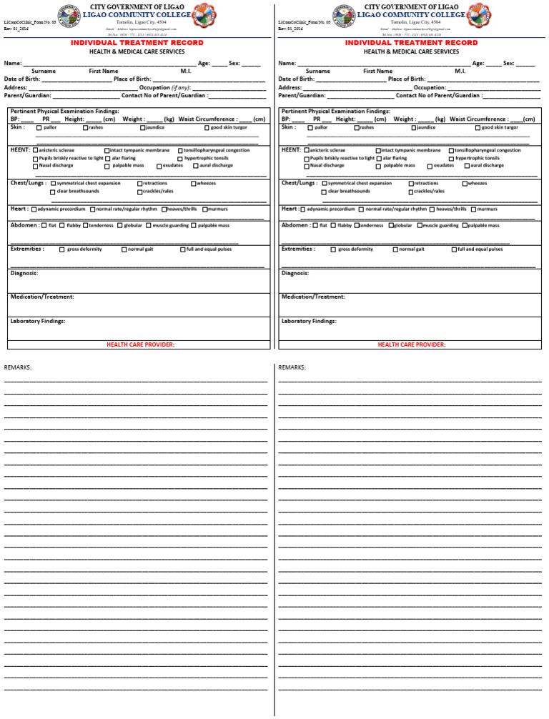 Individual Treatment Record Form (Medical Check-Up Form) | PDF ...