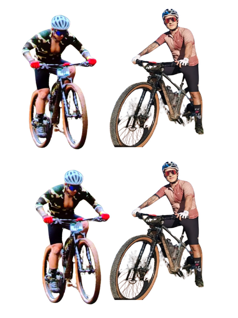 Sticker Torta Cost | PDF