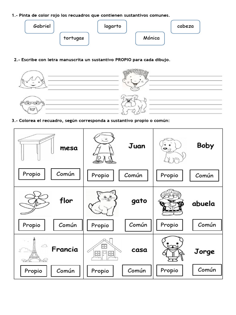 Preparación Prueba - Sustantivos Comunes y Propios | PDF | Artes del ...