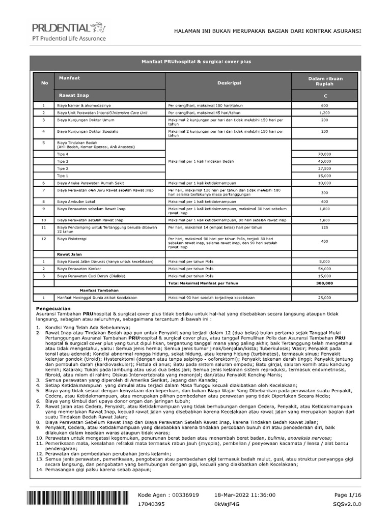 Manfaat PHS Plus Tipe C | PDF