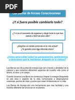 Manual gratuito de Barras de Access PDF | PDF | Estilo de vida