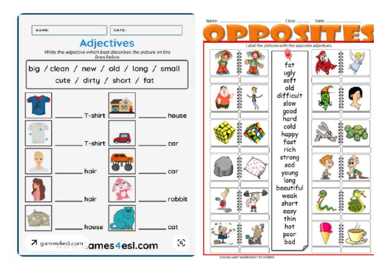 Adjective Easy | PDF