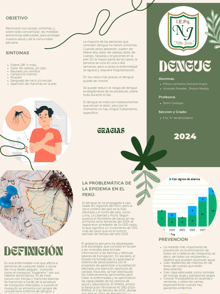 Flyer Triptico Dengue | PDF | Microbiología | Enfermedades y trastornos