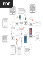 Overview of 11 Human Body Systems | PDF | Human Body | Blood
