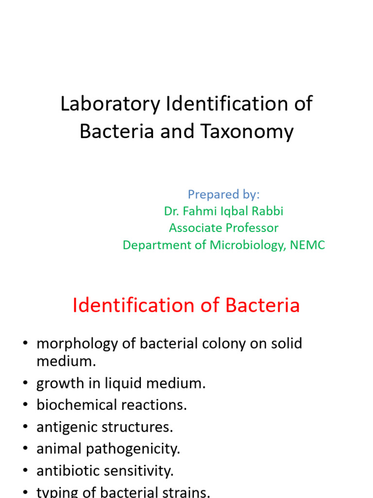 Laboratory Identification of Bacteria and Taxonomy | PDF | Bacteria ...