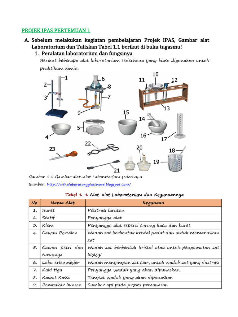 PIPAS Pertemuan 1 Alat Lab Sederhana Dan Fungsinya | PDF | Kajian Bahasa Asing