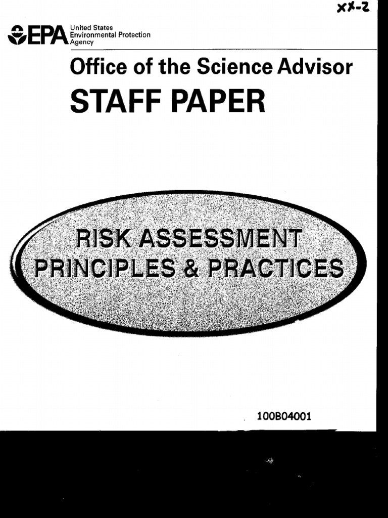 Risk Assessment Principles & Practices | PDF Risk Assessment Principles & Practices | PDF