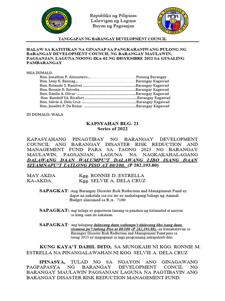 Resolution For BDRRM-BDC | PDF