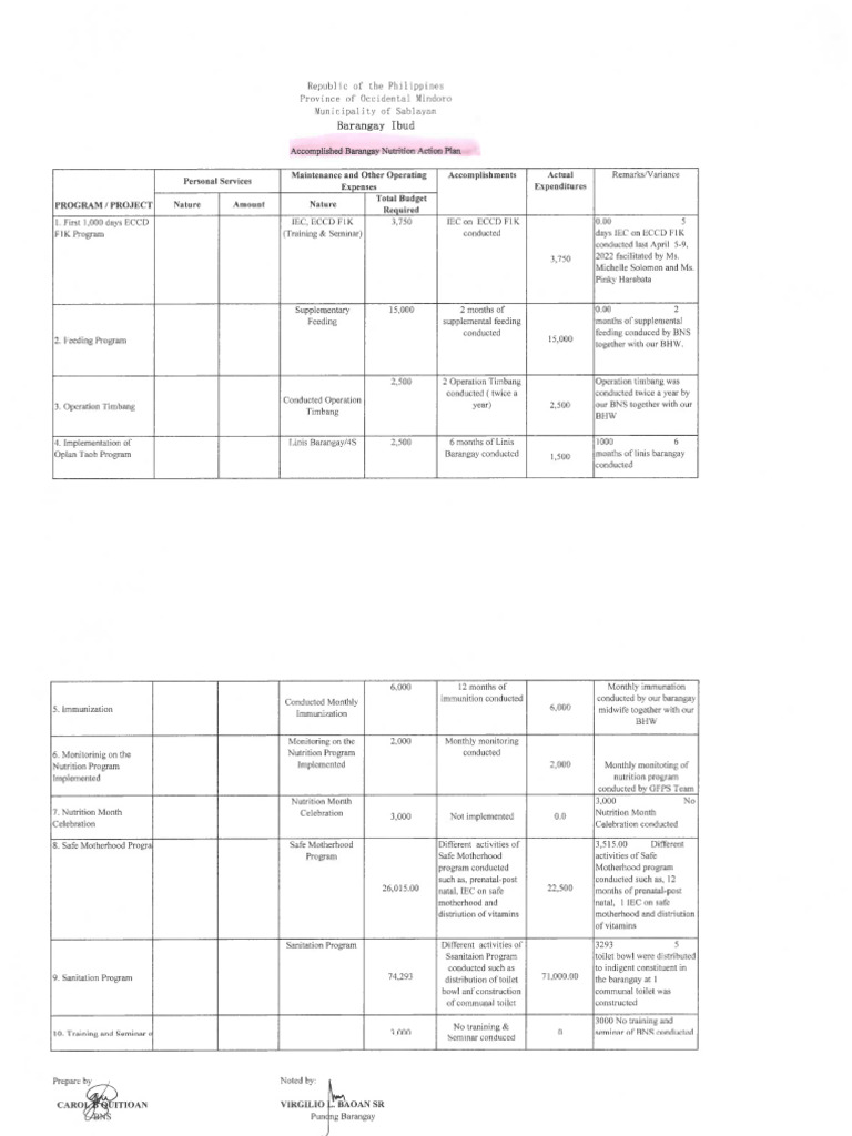 Sample Barangay Nutrition Action Plan (BNAP) | PDF
