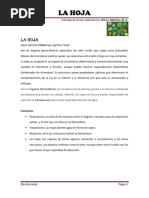 Estructura y Tipos de Limbo en Hojas | PDF | Hoja | Botánica