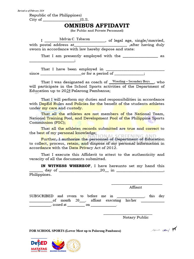 Omnibus-Affidavit v2024 | PDF | Affidavit | Justice