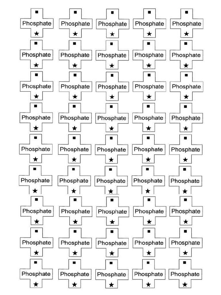 Dna Model | PDF