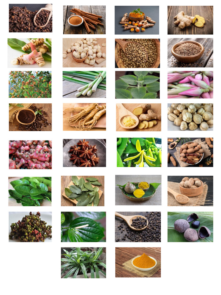 Gambar Rempah2 | PDF