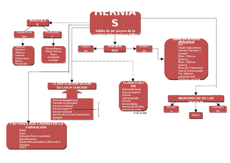 Mapa Conceptual - Hernias | PDF