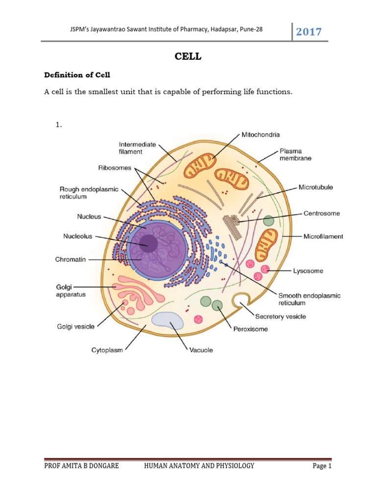 1.CELL | PDF | Cell (Biology) | Cell Nucleus