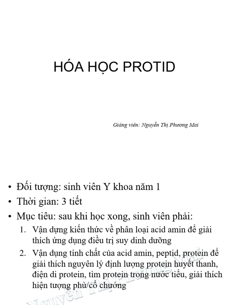 B1 HH Protid 2 | PDF