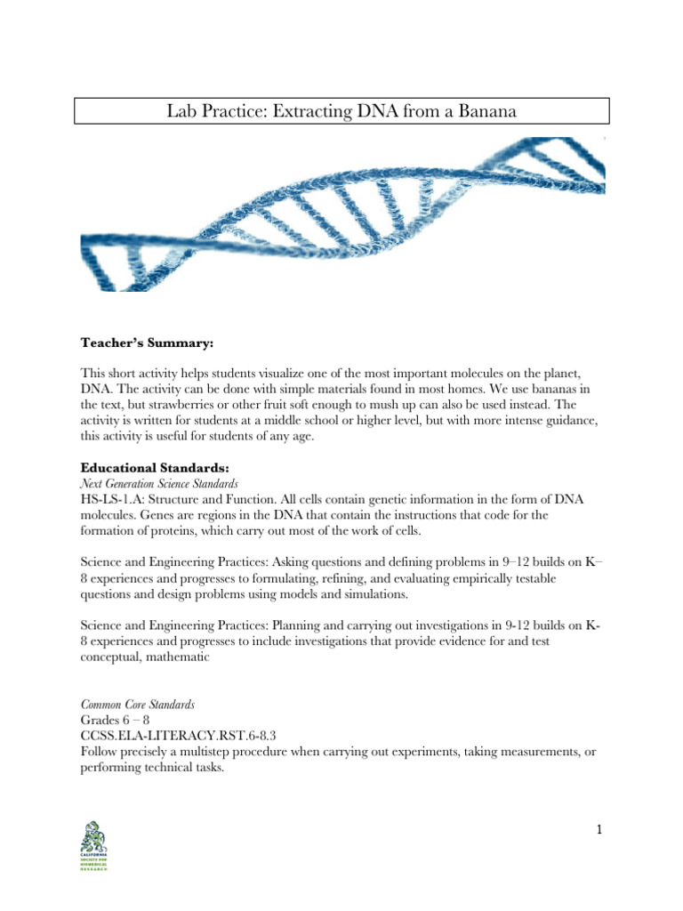 Extracting-DNA-from-a-Banana-and-Other-Fruits | PDF | Cell (Biology) | Dna