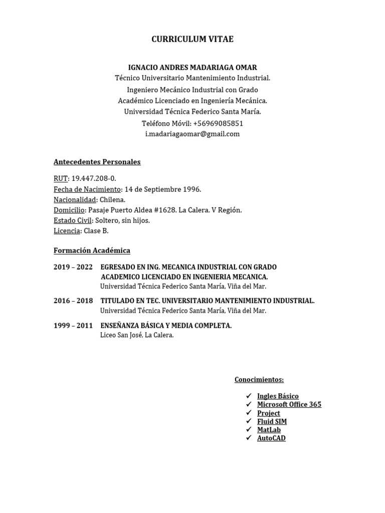 CURRICULUM Ignacio Madariaga Omar-1 - 230424 - 152832 | PDF | Ingeniería