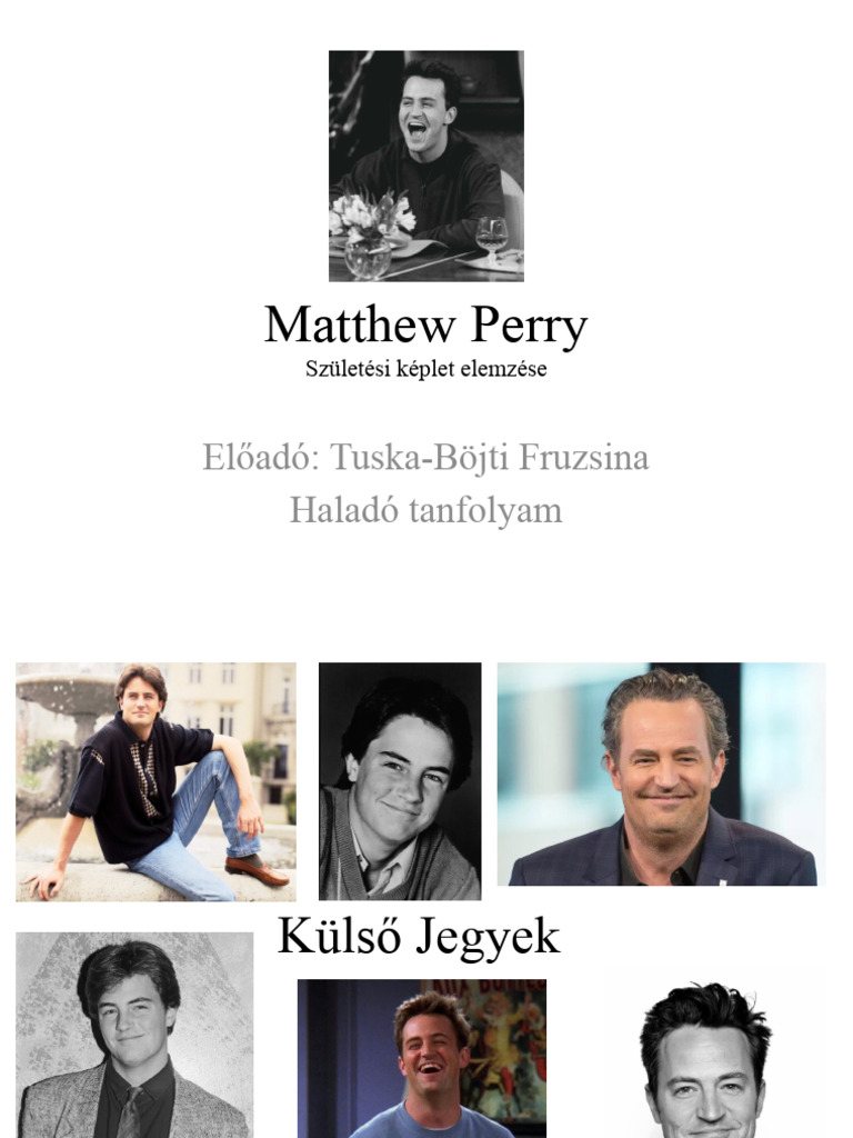 Matthew Perry | PDF