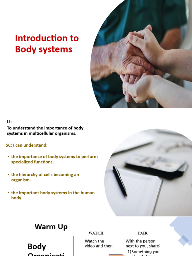 Copy of L1 - Body Systems | PDF | Human Body | Biology