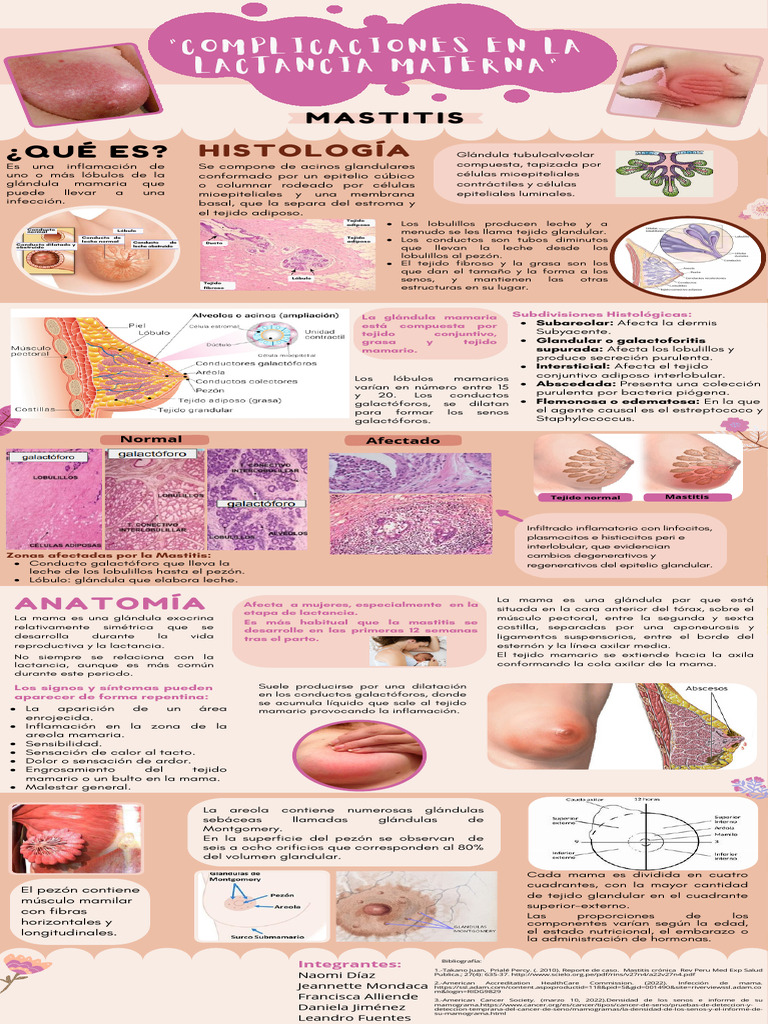 Infografía Mastitis | PDF | Pecho | Morfología (biología)