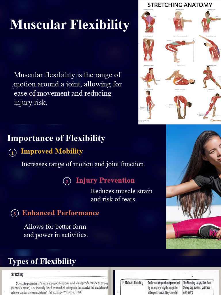 Introduction To Muscular Flexibility | PDF