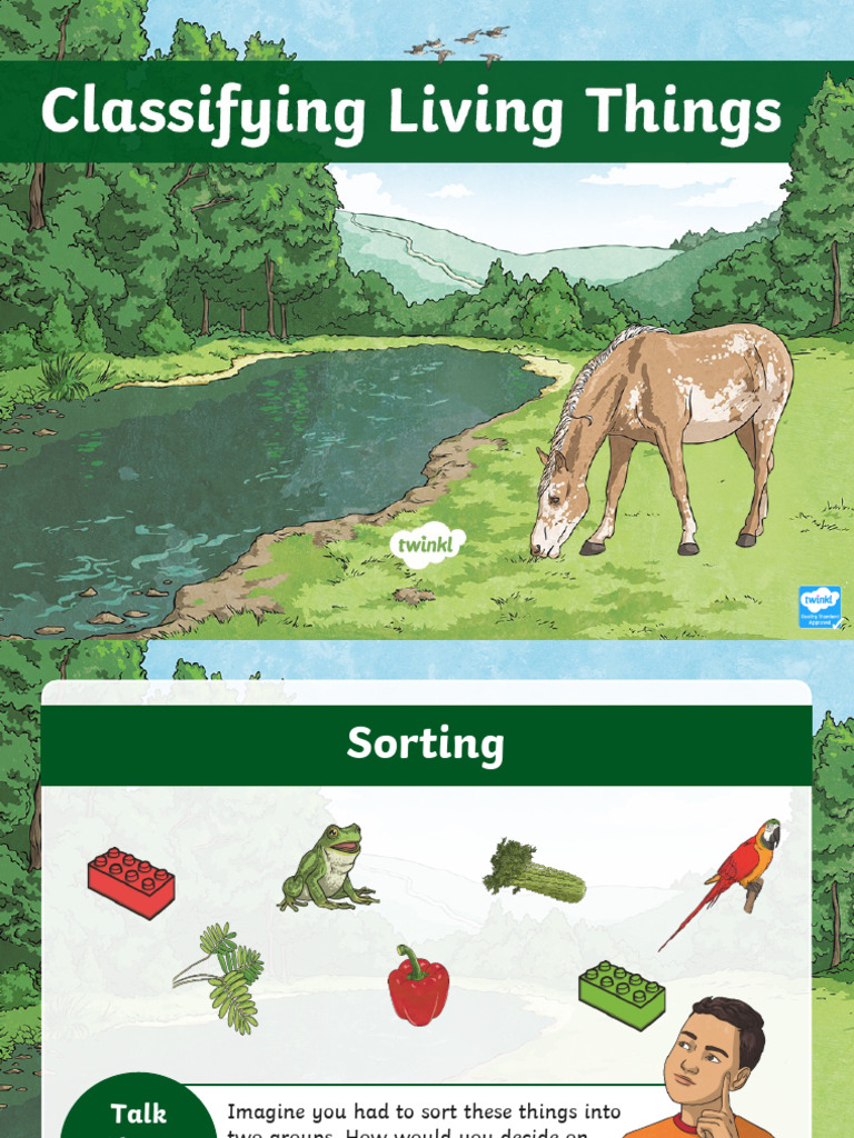 Classifying Living Things: Taxonomy Guide | PDF | Organisms | Biology