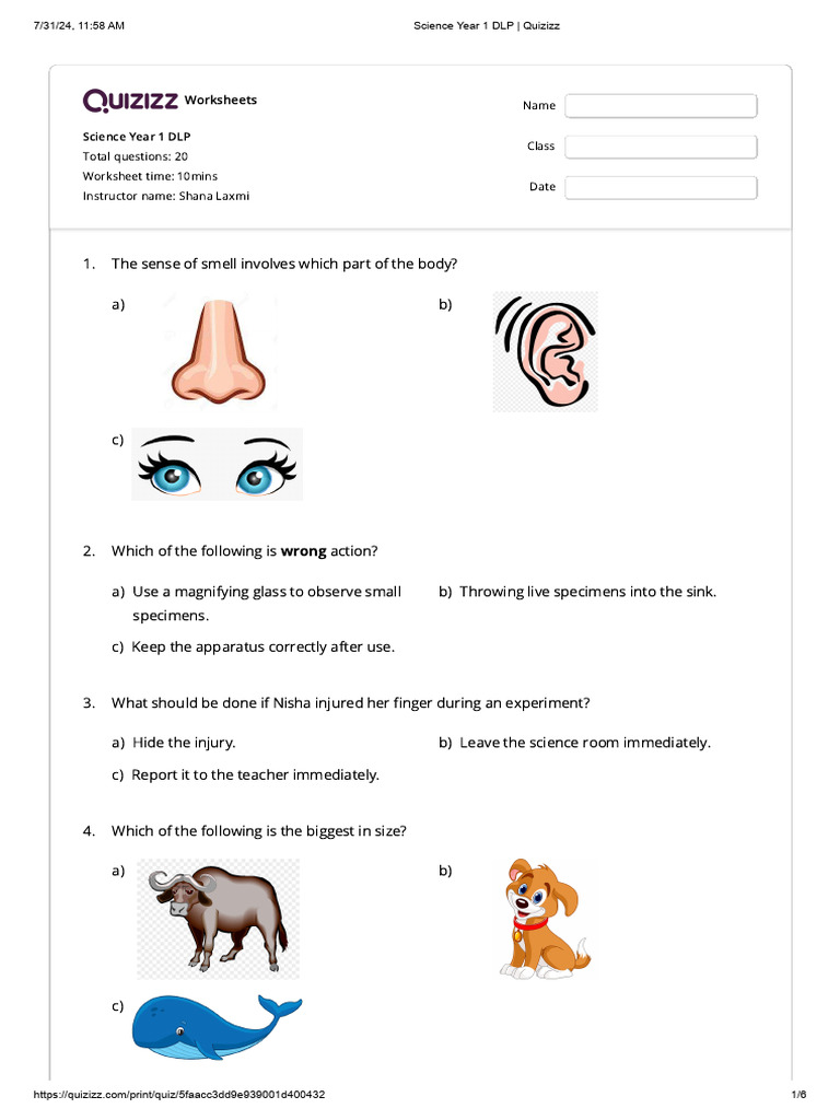 Science Year 1 DLP | PDF | Botany | Plants
