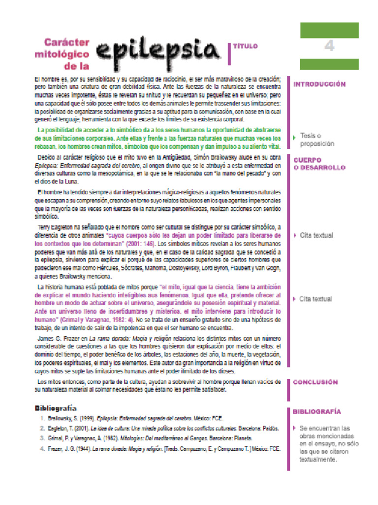 Ejemplo de Ensayo Corto. Epilpsia. | PDF