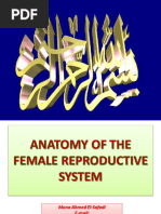 Ligaments of The Female Reproductive Tract - TeachMeAnatomy | PDF ...