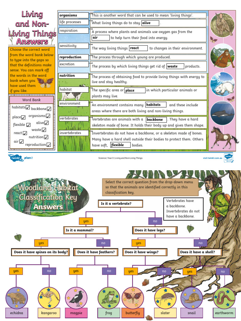 Living and Non-Living Things Answers | PDF | Vertebral Column | Skeleton