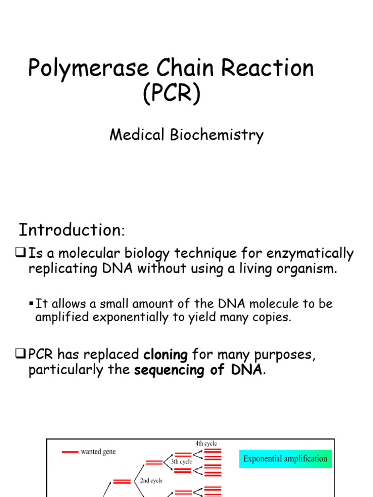 PCR & RDNA Technology - SJUT (1) | PDF | Polymerase Chain Reaction | Molecular Cloning