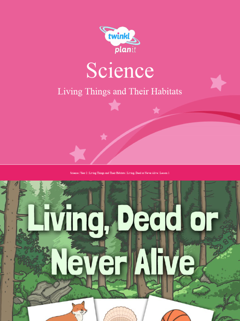 Lesson Presentation Living, Dead or Never Alive | PDF | Foods | Life