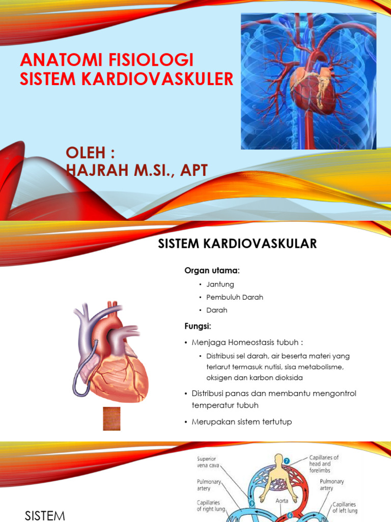Sistem Kardiovaskular dan Fungsinya | PDF