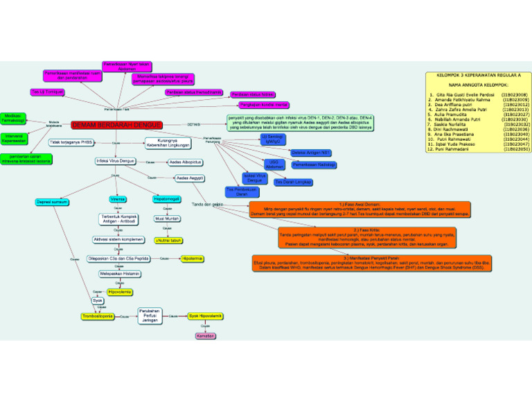 Pathway Demam Berdarah Dengue Kel 3 | PDF