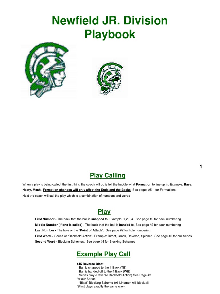 Play Calling | PDF | Sport Variants | American Football