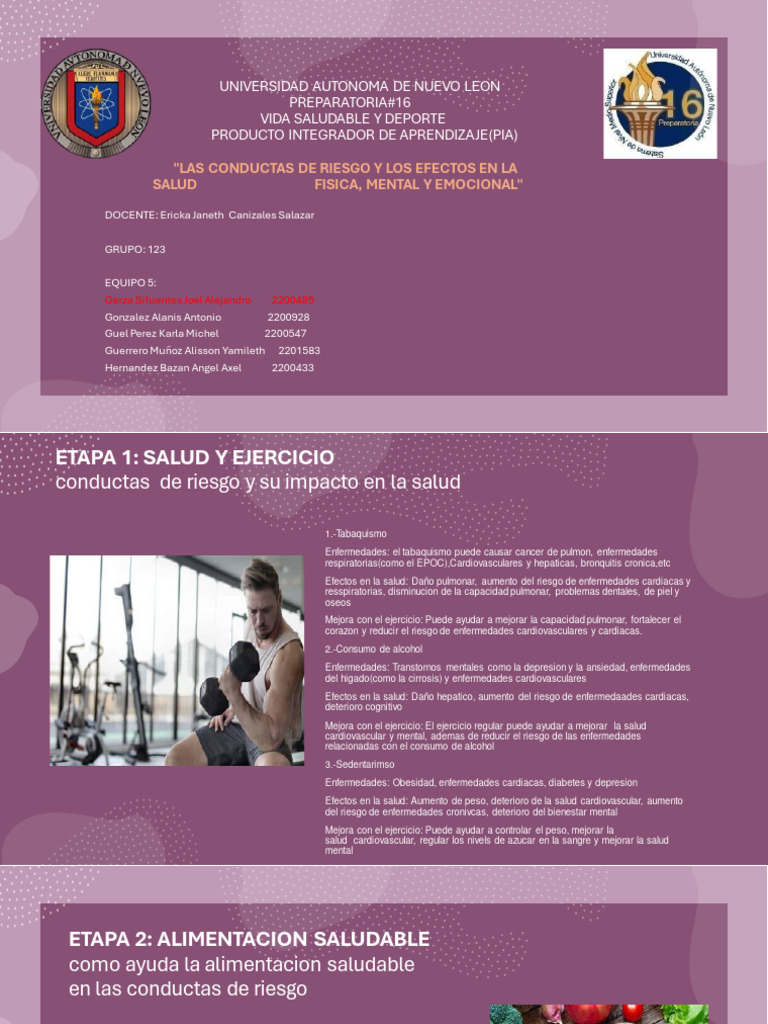 123 Equipo 5 Pia Vsyd | PDF | Enfermedades cardiovasculares | Alimentos