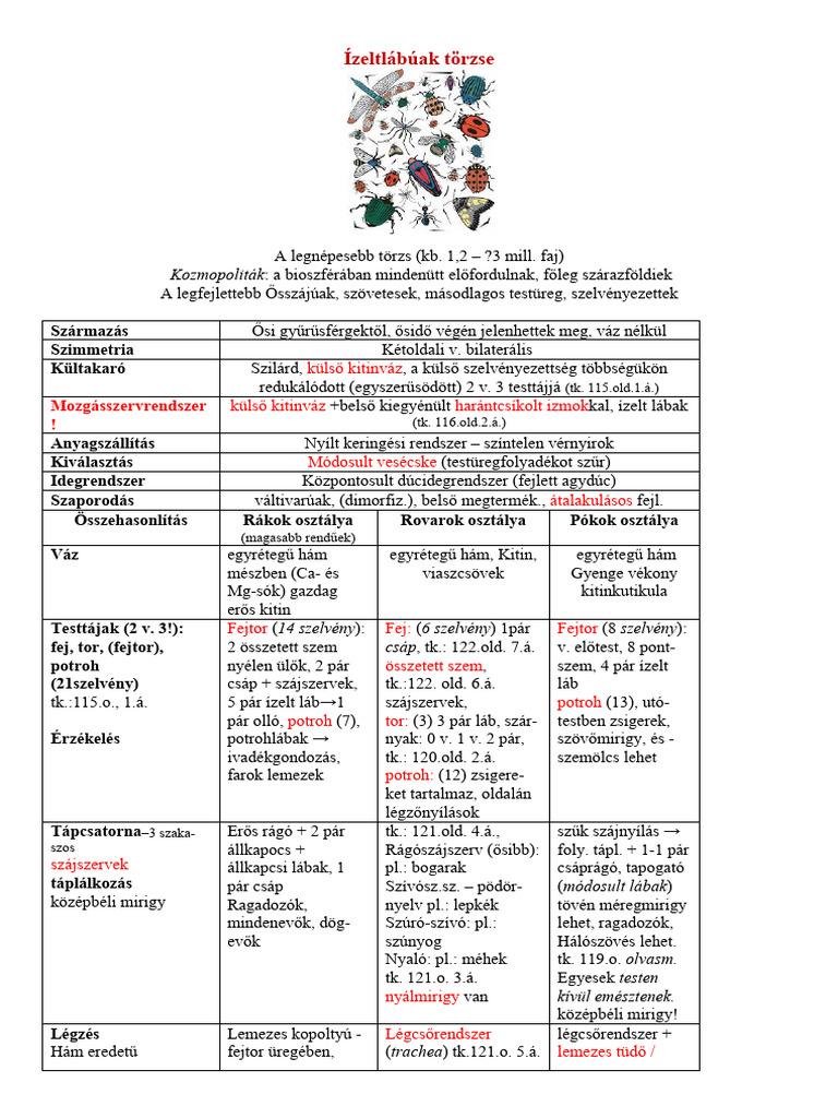 Ízeltlábúak Alap | PDF