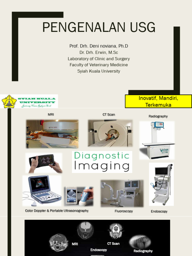Pengenalan USG Dikompresi | PDF