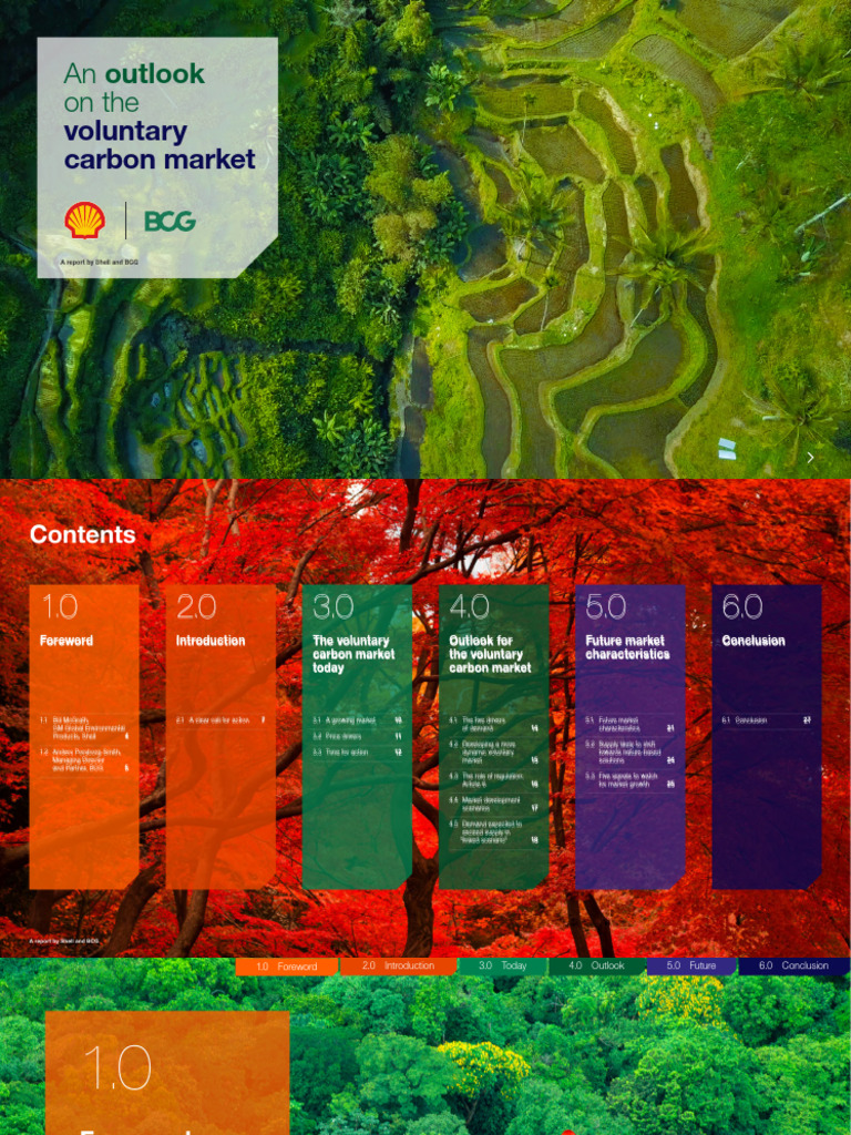 shell-bcg-report-english | PDF | Climate Change Mitigation | Sustainability