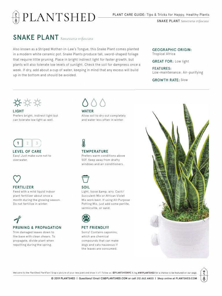 PS20149 Snake Care Guide | PDF