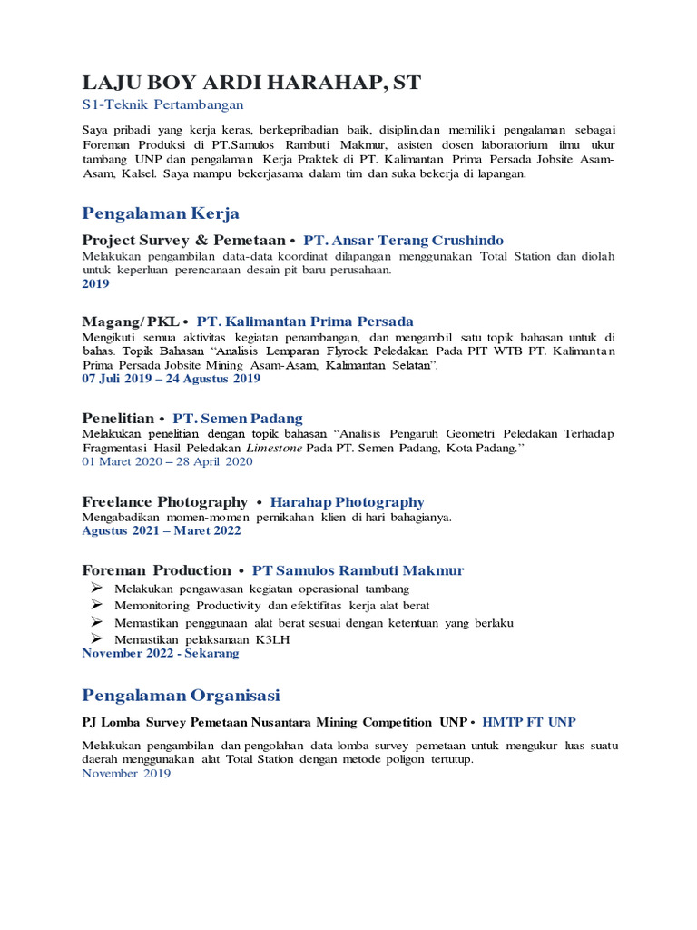 Profil Profesional Laju Boy Ardi | PDF