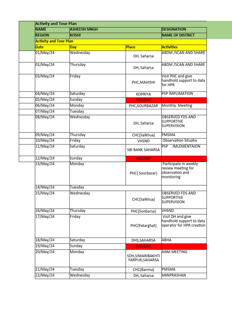 Monthly Action Plan Format | PDF