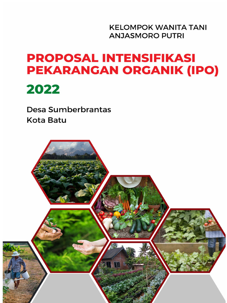 Proposal IPO ANJASMORO PUTRI 2022 | PDF | Ilmu Sosial | Kesehatan Holistik