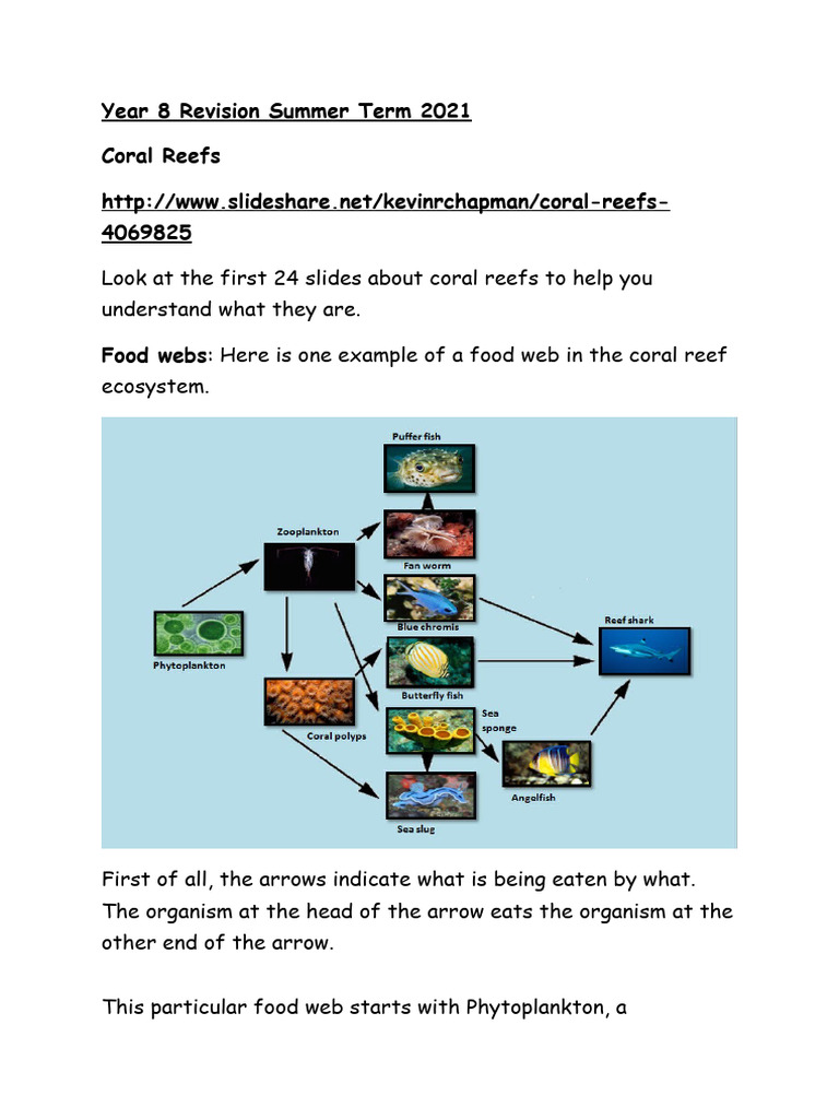 Year 8 Revision March 2022 | PDF | Coral Reef | Predation