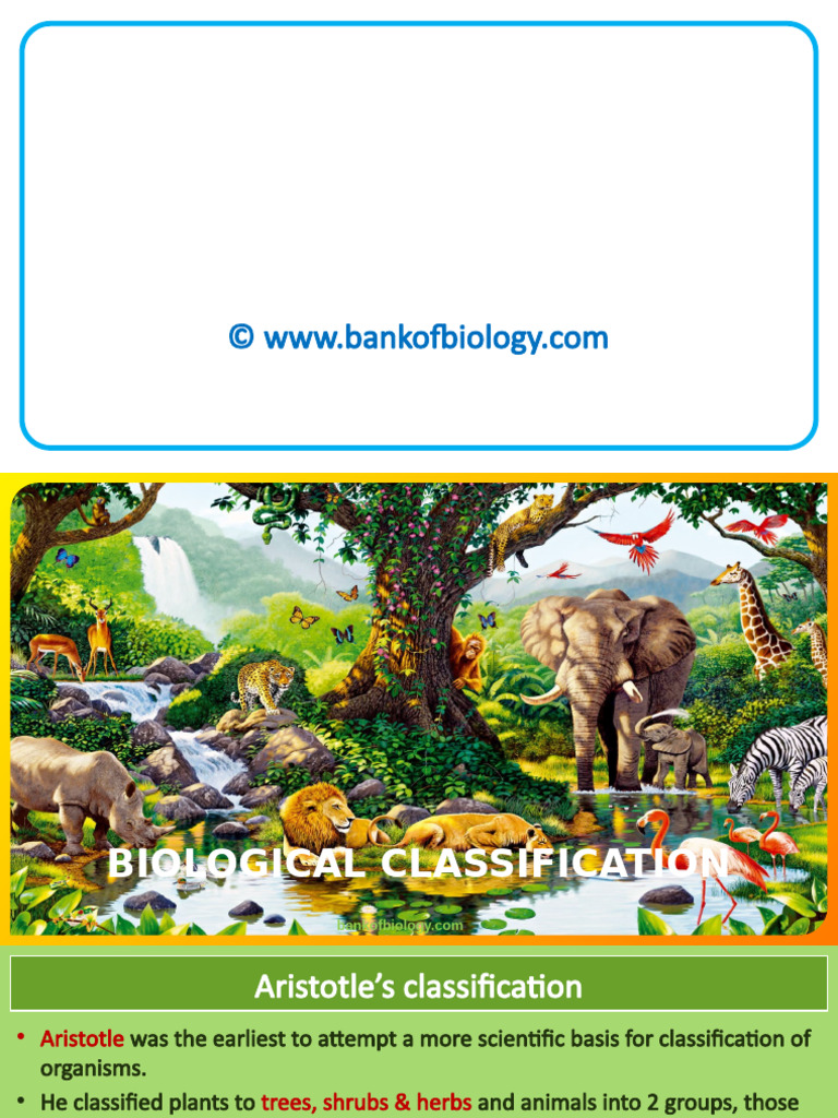 2 Biological Classification | PDF | Bacteria | Plants